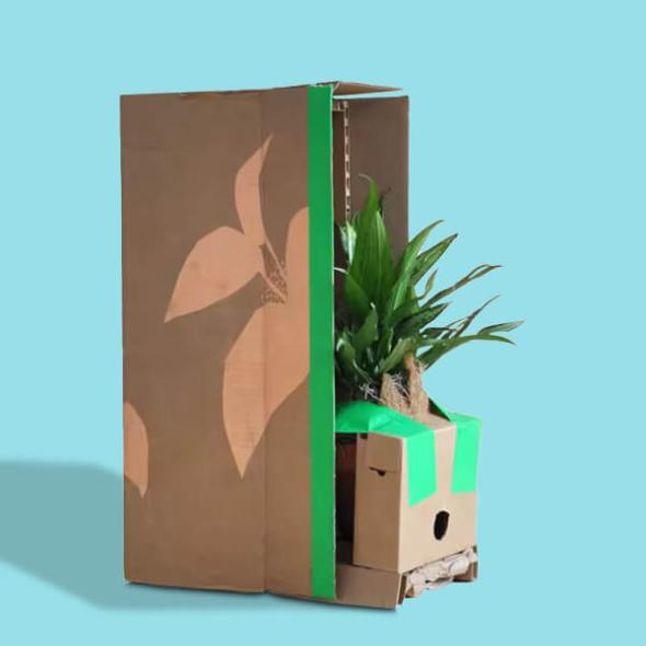 Plant Packaging Boxes | Custom Boxes Zone